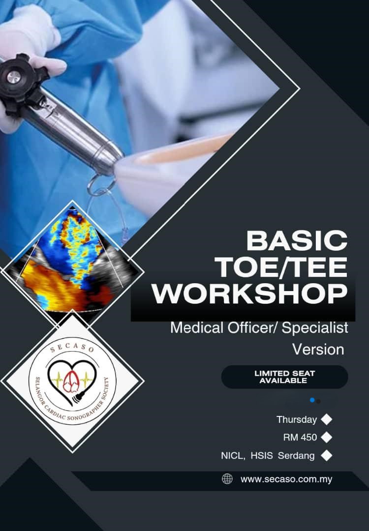 basic toe/tee workshop 2.0 ( Mo version ) » secaso